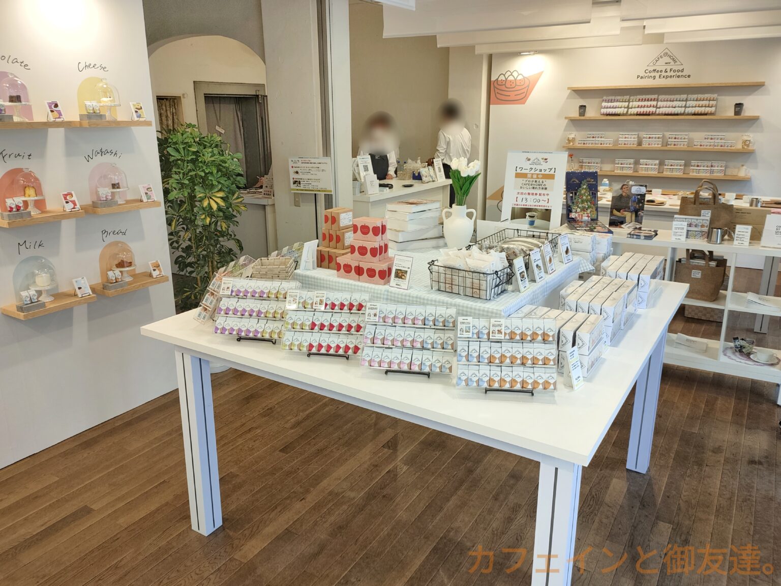 IMG_20231103_143748 - カフェインと御友達。